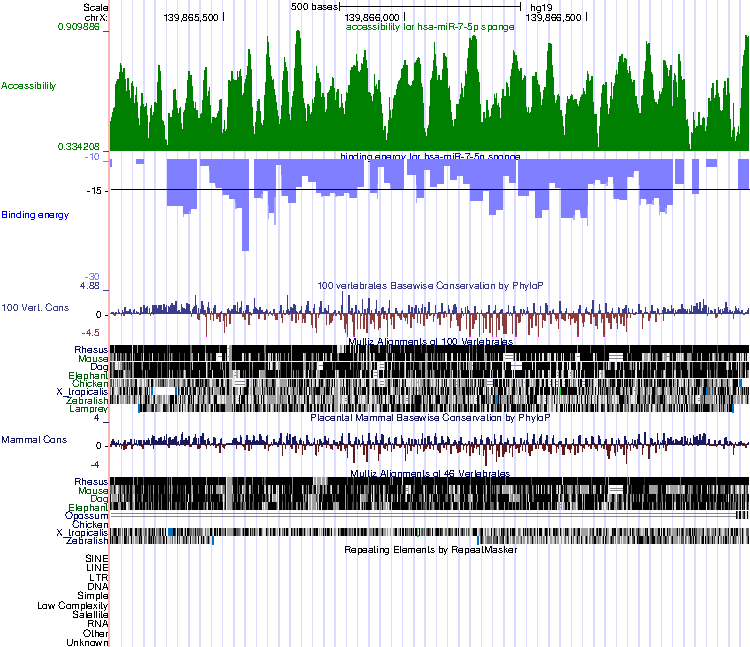 miRNAsponge - Help page